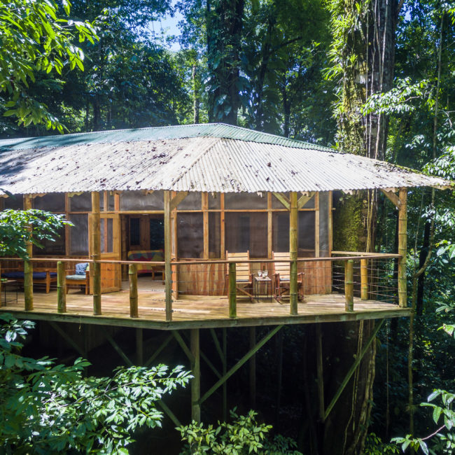 Treehouses Archive - Finca Bellavista CommunityFinca Bellavista Community