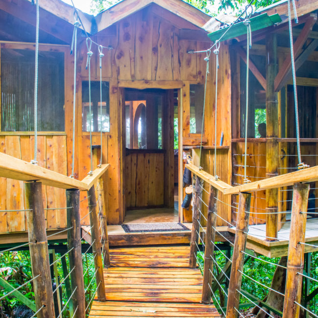 Treehouses Archive - Finca BellavistaFinca Bellavista