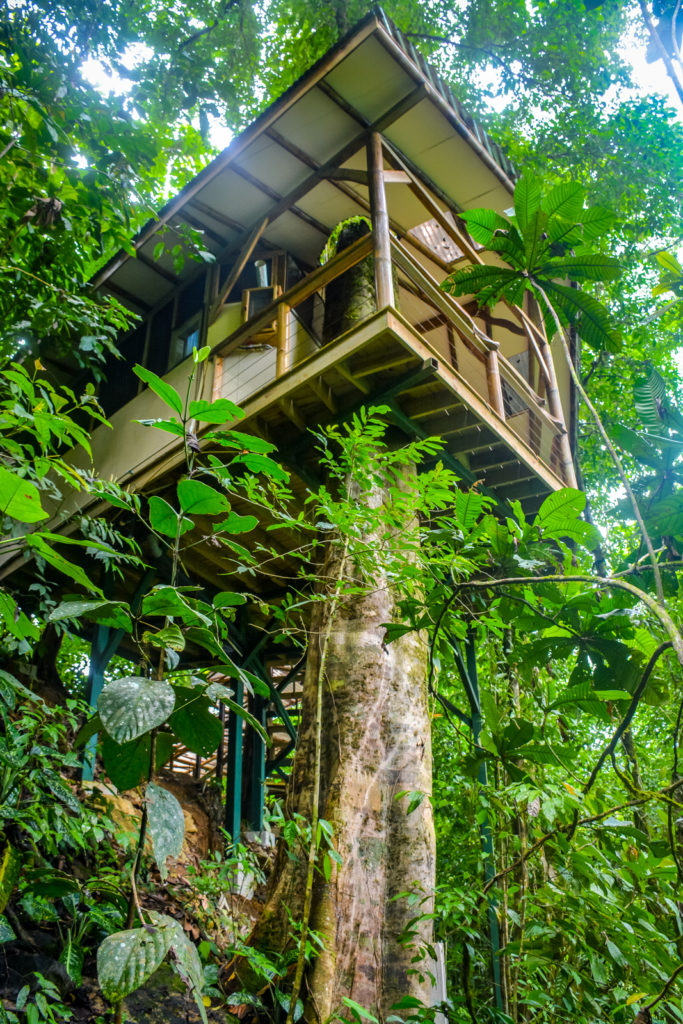 Paraiso treehouse at Finca Bellavista by Daniel Moore - Finca ...