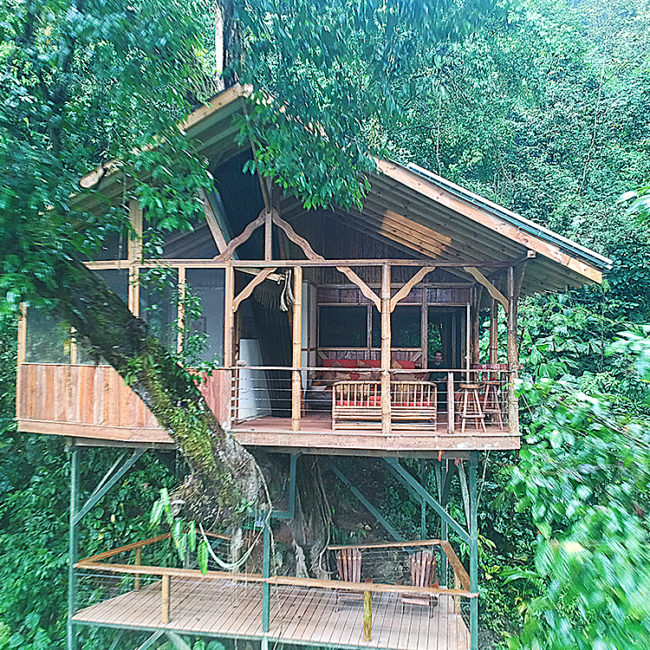 Treehouses Archive - Finca BellavistaFinca Bellavista